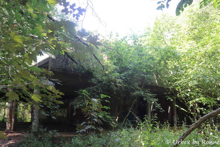 Swamp Hotel :: Ronne-photography