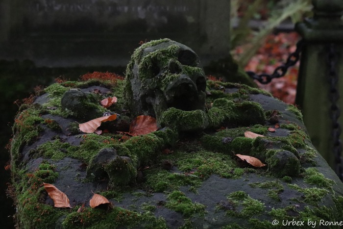 Skull Graveyard :: Ronne-photography